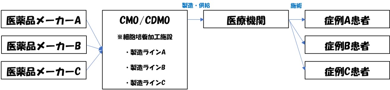 オキナワ型再生医療CMO/CDMO | 由風BIOメディカル株式会社