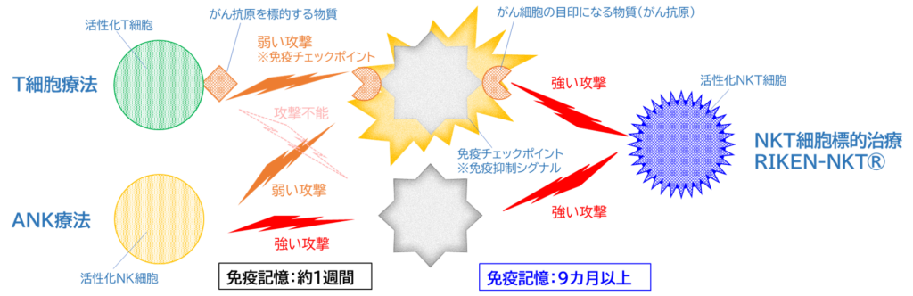 がん免疫治療「NKT細胞標的治療（RIKEN-NKT®）」とは | 由風BIOメディカル株式会社
